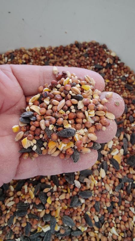 Wild Bird Food Value Mix, 35 lb. at Tractor Supply Co