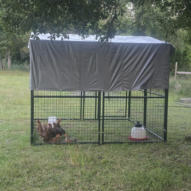 Producer's Pride Universal Poultry Pen, 24 Chicken Capacity at Tractor ...
