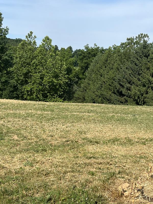 GroundWork 50 lb. 35,000 sq. ft. Landscapers Mix Grass Seed, North at ...