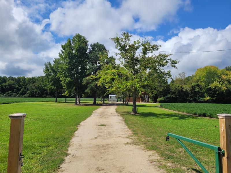 FIRST DEFENSE 11.6 ft. Collapsible Barrier Gate at Tractor Supply Co