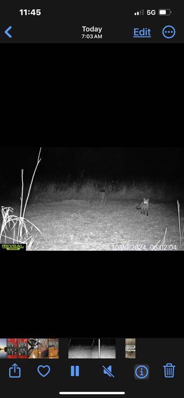 Reveal by Tactacam 16 MP REVEAL Pro 3.0 AT&T/Verizon Cellular Trail ...