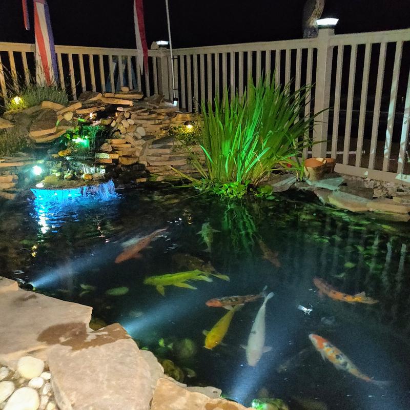 Purina AquaMax Sport Fish 500 Fish Feed, 50 lb. Bag at Tractor Supply Co