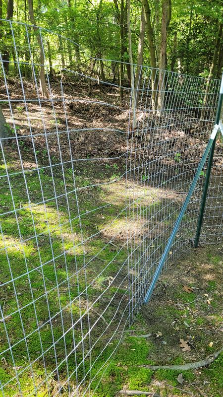 Red Brand 100 ft. x 60 in. Welded Wire Fence with 2 in. x 4 in. Mesh at ...