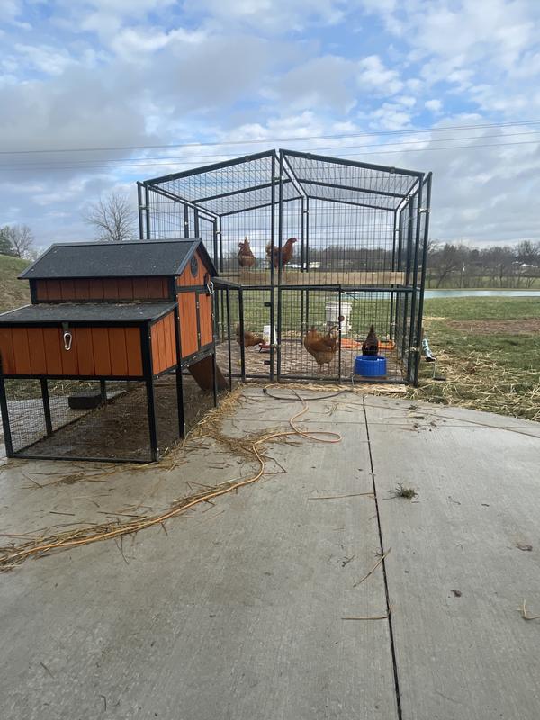 Producer's Pride Sentinel Chicken Coop, 6 Chicken Capacity at Tractor ...
