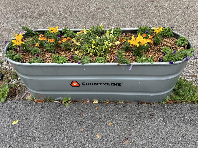 CountyLine 300 gal. Oval Galvanized Stock Tank, 3 ft. x 8 ft. x 2 ft ...