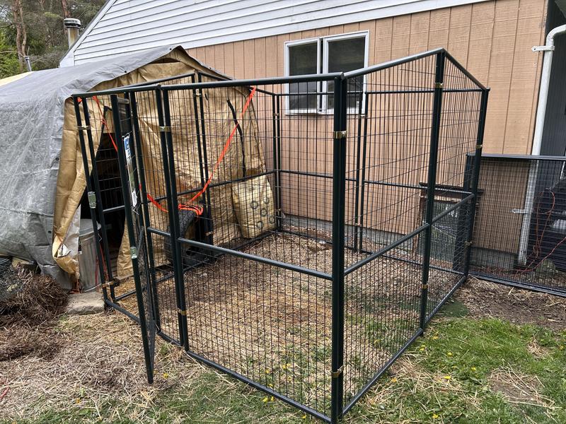 Producer's Pride Universal Poultry Pen, 24 Chicken Capacity, 8 ft. x 8 ...