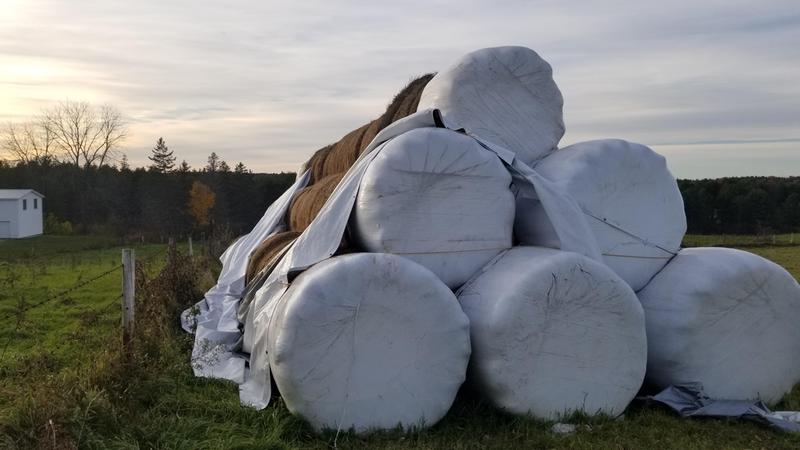 CountyLine Agricultural Cover, 40 ft. x 25 ft. at Tractor Supply Co