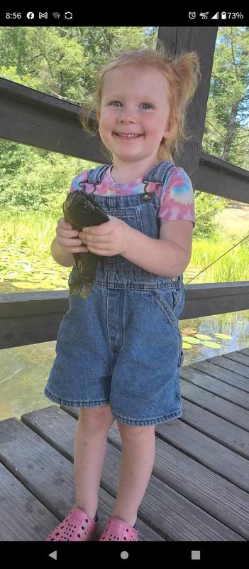 Producer's Pride 16% Layer Pelleted Chicken Feed, 50 lb. Bag at Tractor ...