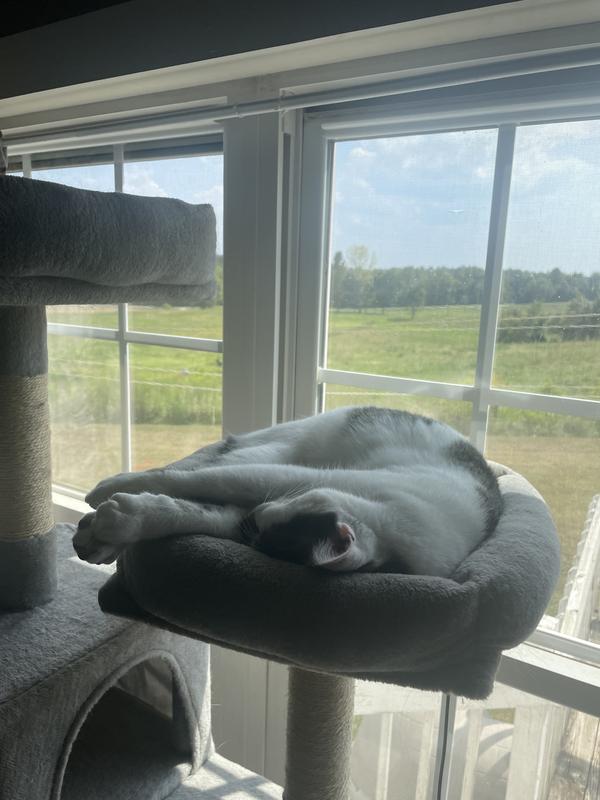 Paws & Claws 72 in. Large Climbing Cat Tower, Grey at Tractor Supply Co