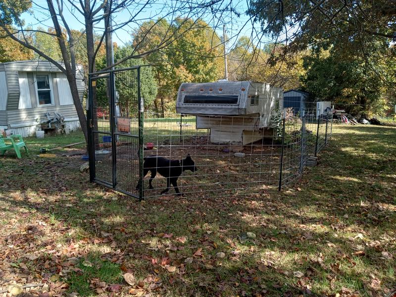 OKBRAND 8 ft. x 50 in. Handy Panel Max 50 10-Line Cattle Feedlot Fence ...