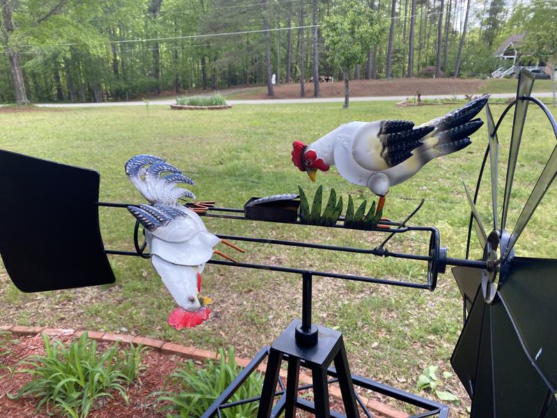 Red Shed 5 ft. Chicken Windmill at Tractor Supply Co