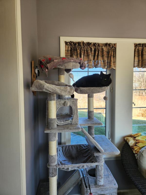 Paws & Claws 72 in. Large Climbing Cat Tower, Grey at Tractor Supply Co
