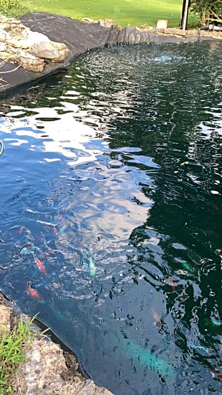 Purina AquaMax 4000 Pelleted Pond Fish Feed, 50 lb. Bag at Tractor ...