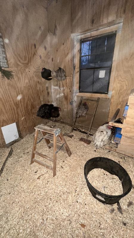 Eaton Pet & Pasture Naturally Grown Premium Hemp Pet Bedding, 8 lb. at ...