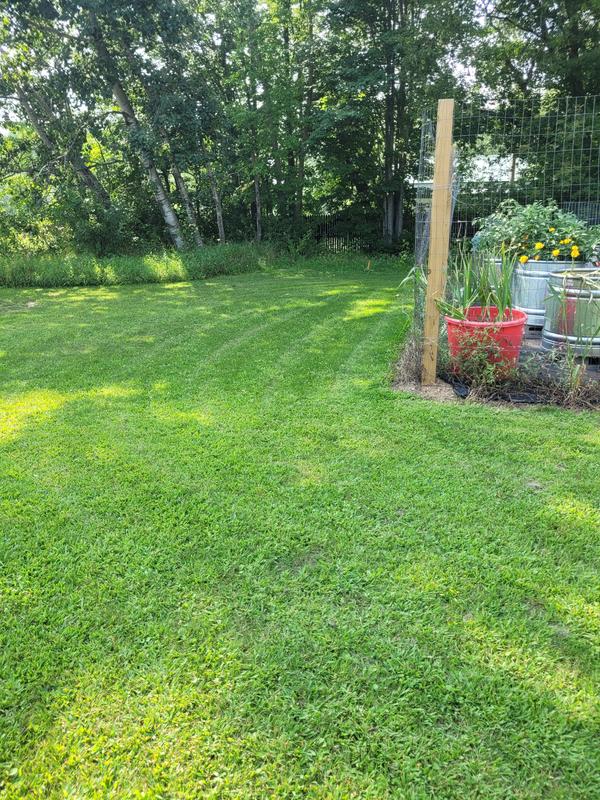GroundWork 50 lb. 35,000 sq. ft. Landscapers Mix Grass Seed, North at ...
