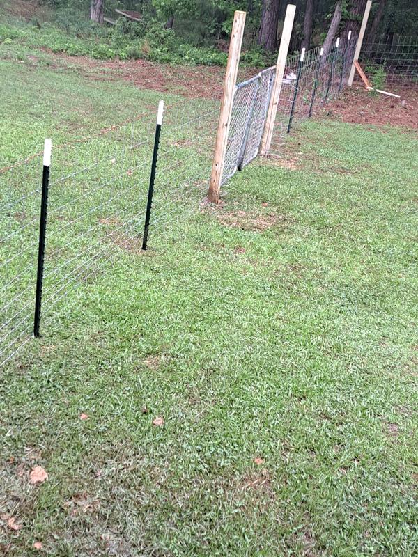 6 ft. Studded T-Post, 1.25 lb. per ft. with Anchor Plate at Tractor ...