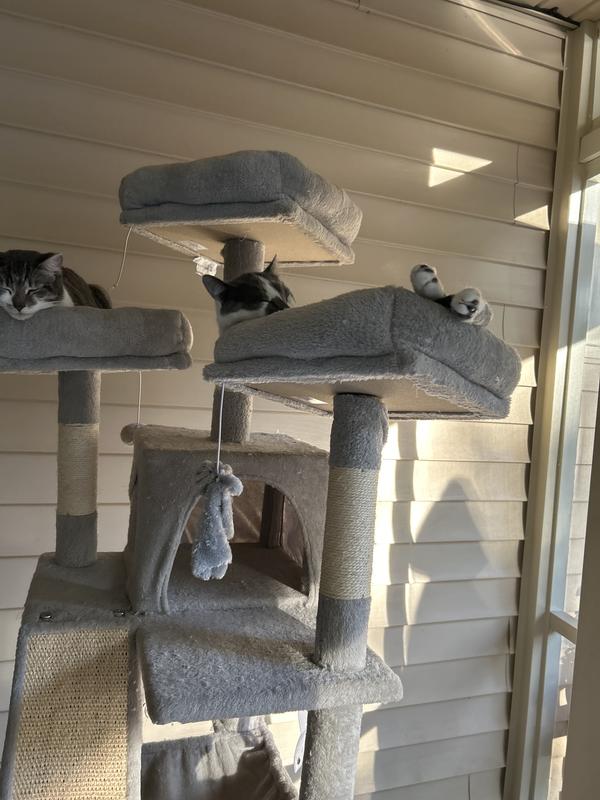 Paws & Claws 72 in. Large Climbing Cat Tower, Grey at Tractor Supply Co