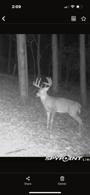 Purina AntlerMax Pelleted Deer Feed 20 with Climate Guard and Bio LG ...
