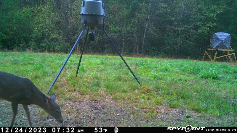 treeline 3-Person Wide Bottom Deer Blind, Camo at Tractor Supply Co