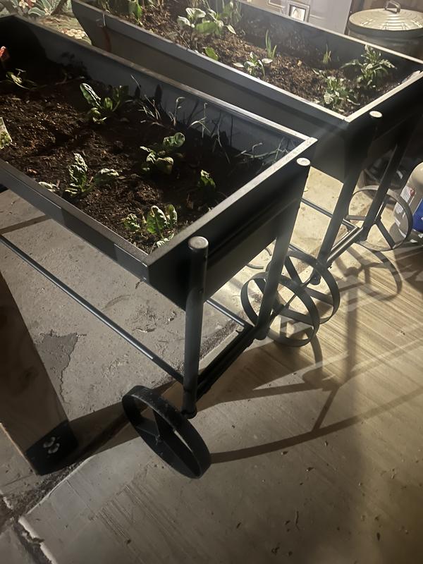 GroundWork 5.3 ft. Steel Rolling Planter, 49 in. x 23 in. at Tractor ...