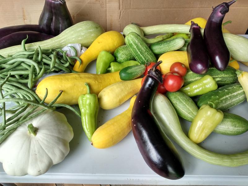 Emsco City Picker Raised Bed Garden Grow Box, 21 in. x 25 in. x 10 in ...