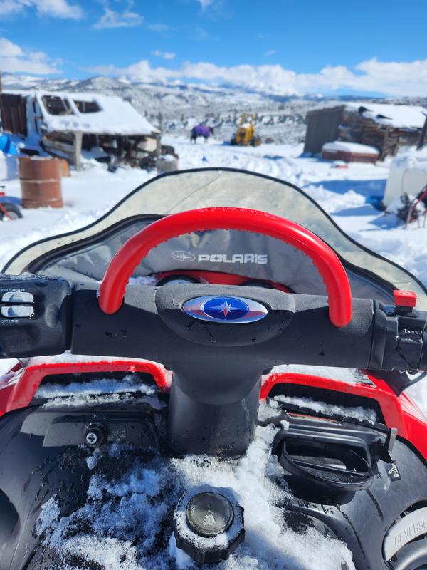 Nutrena Triumph 12-8 Pelleted Horse Feed, 50 lb. Bag at Tractor Supply Co