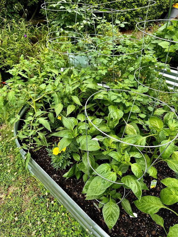 Scotts 0.75 cu. ft. Premium Humus and Manure at Tractor Supply Co