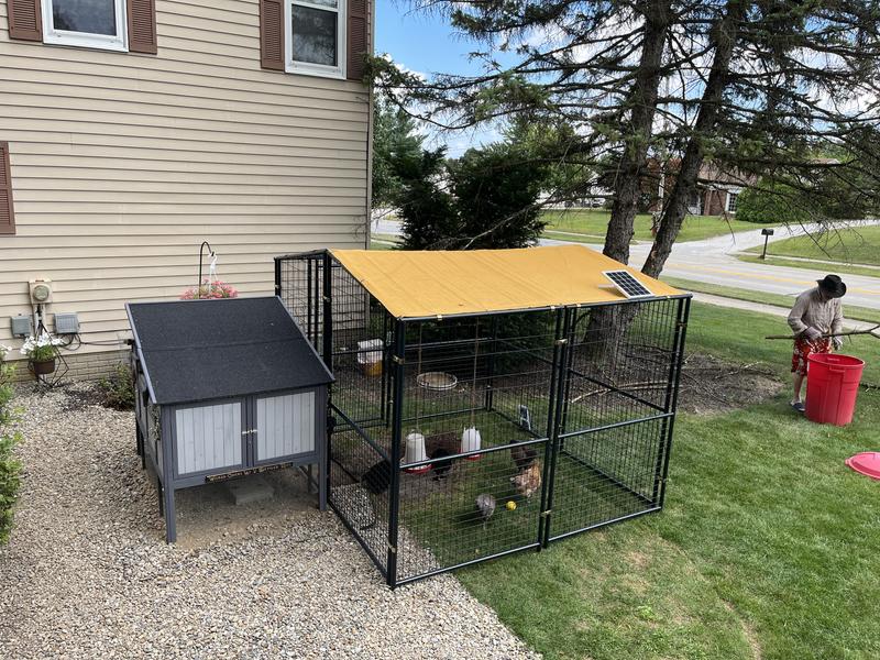 Producer's Pride Universal Poultry Pen, 24 Chicken Capacity, 8 ft. x 8 ...