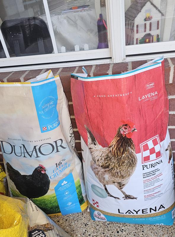 DuMOR 16% Layer Crumbled Chicken Feed at Tractor Supply Co
