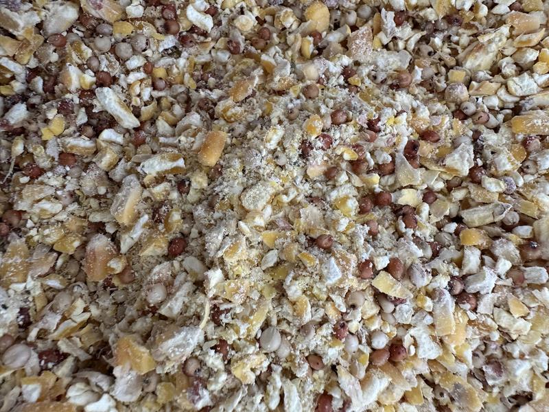 Producer's Pride Scratch Grains Poultry Feed, 50 lb. Bag at Tractor ...