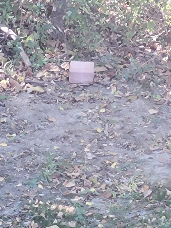 Mighty Deer Lick Sweet Apple Deer Attractant, 25 lb. Block at Tractor ...