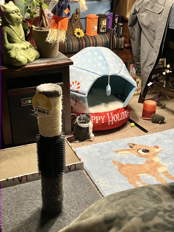 Pet Zone Mouse Hunter Play-N-Squeak Mouse Cat Toy at Tractor Supply Co