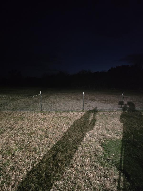 JobSmart 9,000-Lumen Twin Head SMD Work Light at Tractor Supply Co