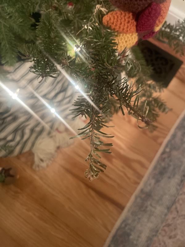 Dutchman Tree Farms Christmas Fir Number 1 6 to 8 ft. at Tractor Supply Co