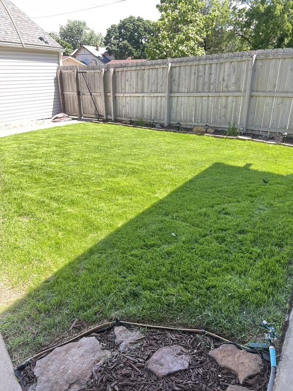 GroundWork 50 lb. 35,000 sq. ft. Fast Lawn Grass Seed Mixture at ...