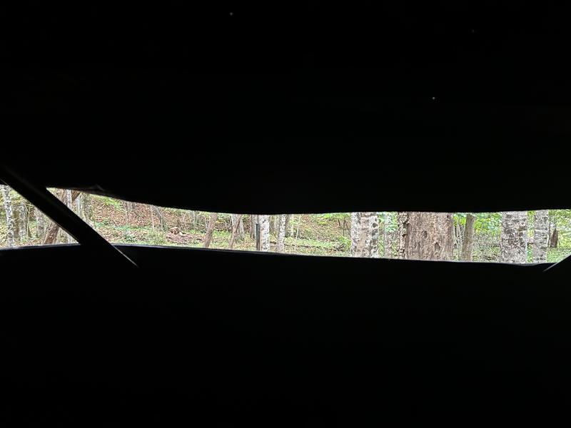 treeline 3-Person Wide Bottom Deer Blind, Camo at Tractor Supply Co.