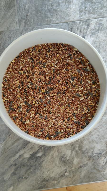 Wild Bird Food Value Mix, 35 lb. at Tractor Supply Co