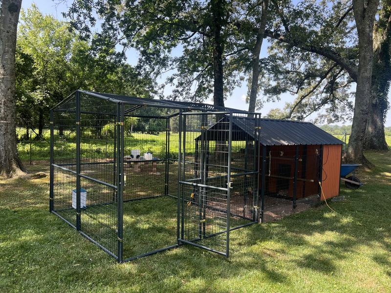 Producer's Pride Universal Poultry Pen, 24 Chicken Capacity, 8 ft. x 8 ...