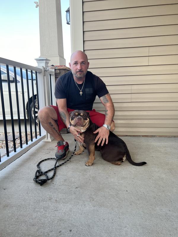 Sportmix CanineX All Life Stages Performance Grain-Free Chicken Recipe ...