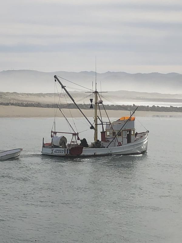 Traveller 5 gal. SAE 15W-40 Heavy-Duty Diesel Engine Oil at Tractor ...