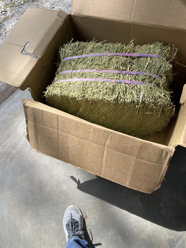 Unbranded Standlee Premium Western Forage Alfalfa Compressed Hay Bale ...