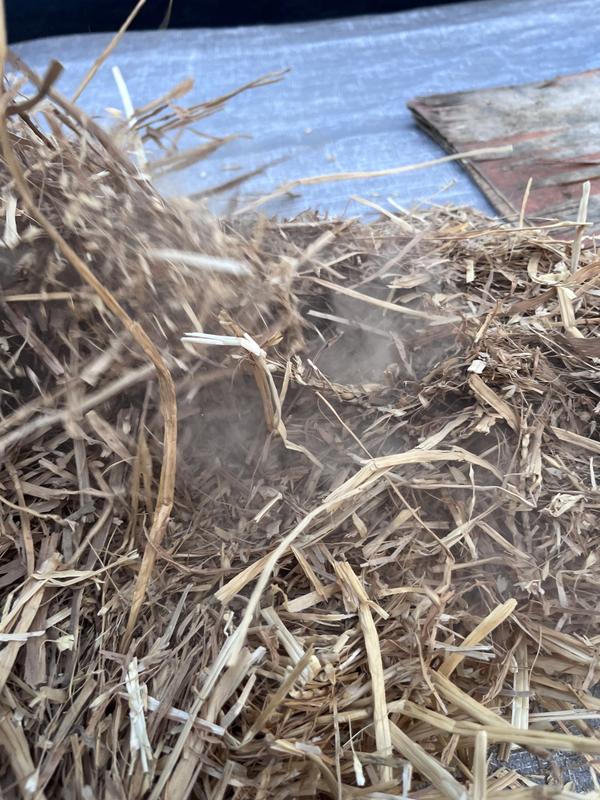 DuMOR 2-String Wheat Straw Compressed Bale Pet Bedding, 18 cu. ft. at ...