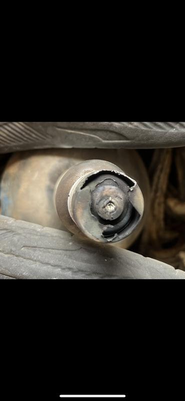 Producer's Pride 250W Red Heat Bulbs, 120V, 2-Pack at Tractor Supply Co