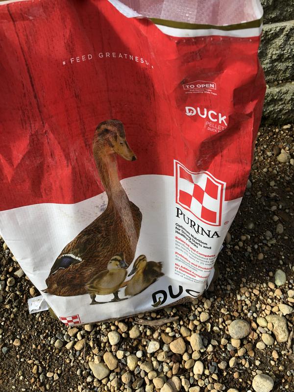Purina Pelleted Duck Feed at Tractor Supply Co
