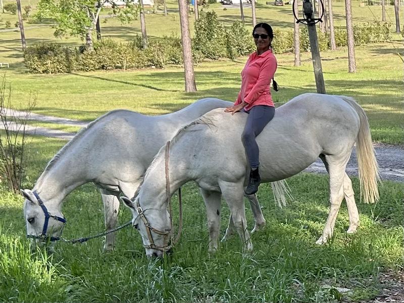 Unbeetable Feeds Blend Pellet Forage, 50 lb. at Tractor Supply Co