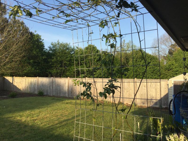 Red Brand 8 ft. x 50 in. 4 Gauge Keystone Steel and Wire Metal Fence at ...