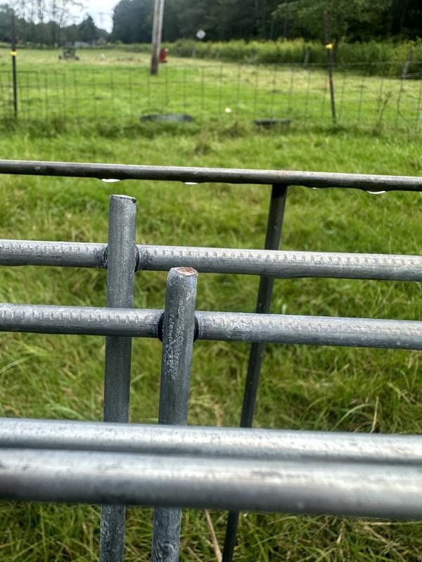 16 ft. x 34 in. Hog Feedlot Panel Fencing at Tractor Supply Co