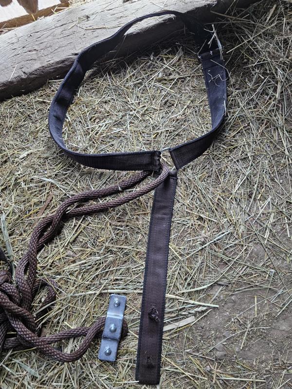 Tough1 Nylon Breeding Horse Hobble at Tractor Supply Co