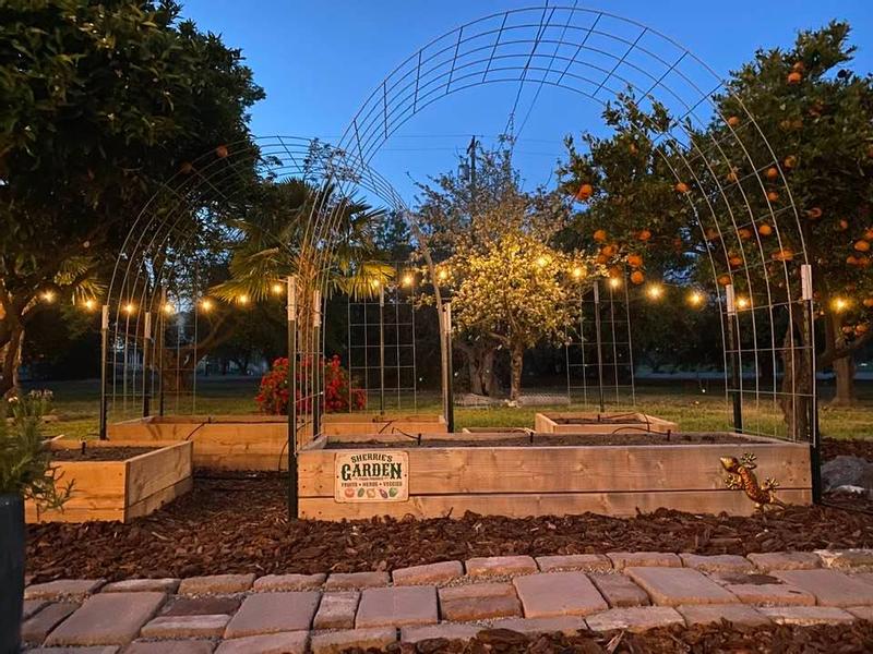 7 ft. Studded T-Post, 1.25 lb. per ft. with Anchor Plate at Tractor ...