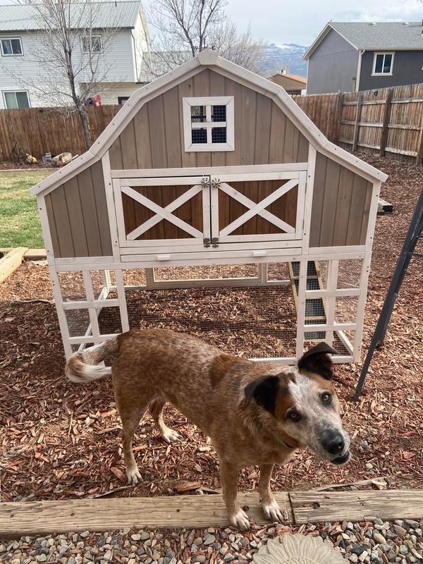 Rugged Ranch 3-Compartment Omaha Chicken Coop, 2 Tone at Tractor Supply Co
